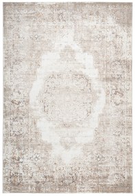 Kusový koberec Lalee Pierre Cardin Paris 504 taupe - 240 x 330 cm