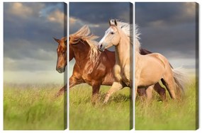 Vícedílný obraz Koně Cválající Na 3D Louce Nedostatek Nedostatek Přírodní plátno 150x100