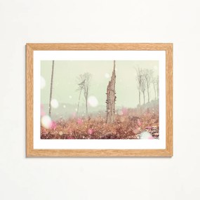 Eva Bystrianská | Jarní sníh Rám: Černý, Velikost: 30 x 40 cm
