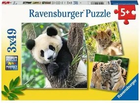 Ravensburger Panda, tygr a lev - 3 x 49 dílků / od: 5 let