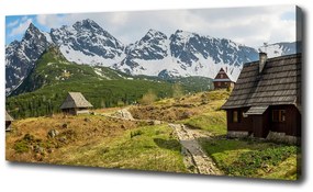 Wallmuralia Foto obraz na plátně Západní Tatry 100x50