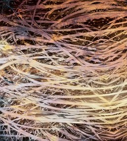 DIMEX | Vliesová fototapeta na zeď Abstrakt seno I. MS-3-0381 | 225 x 250 cm | hnědá, béžová, vícebarevná