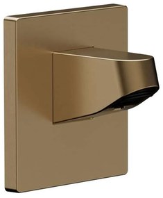Hansgrohe Pulsify - Sprchové rameno, 8 cm, kartáčovaný bronz 24139140