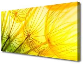 Obraz na plátně Pampelišky Květiny Příroda 125x50 cm