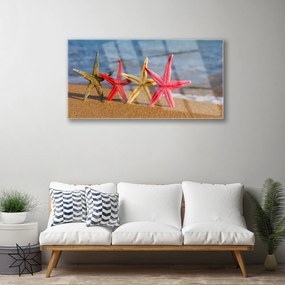 Obraz na skle Pláž Hvězdice Umění 125x50 cm