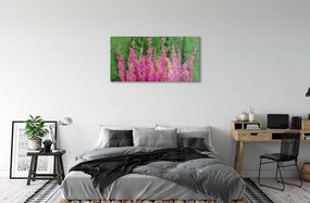 Obraz na skle květiny vřesy 100x50 cm