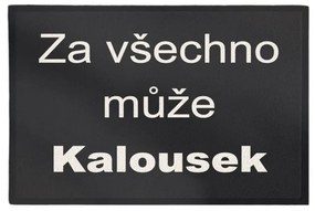 GDmats, Rohožka Kalousek 40x60 cm - na ven i na doma, 40x60, černá
