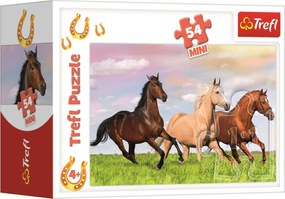 TREFL PUZZLE Koně foto mini 20x13cm skládačka 54 dílků 4 druhy tr54193