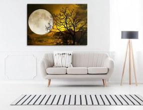 Malvis ® Obraz Tajemný měsíc Velikost: 90x60 cm