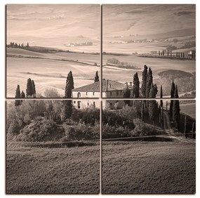 Obraz na plátně - Italská venkovská krajina - čtverec 3156QE (60x60 cm)