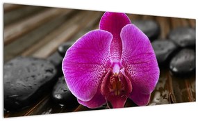 Obraz orchideje (100x40cm)