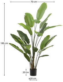 Umělý banánovník (výška 210 cm) – Kave Home