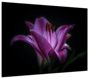 Skleněný obraz lilie (70x50 cm)