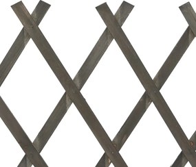 Zahradní trelážový plot šedý 120 x 90 cm masivní jedle 314825