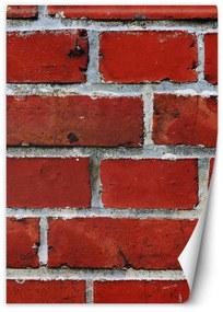 Fototapeta, Červené cihly kamenná optická zeď - 100x140 cm