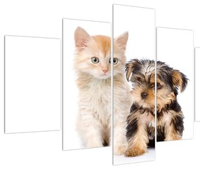 Obraz - kotě a štěně (150x105 cm)