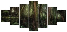 Obraz - Tajemný les (210x100 cm)