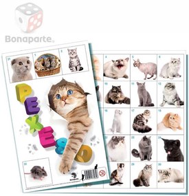 BONAPARTE Pexeso Kočky 32 dvojic fotografie *SPOLEČENSKÉ HRY* bn2626