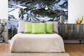 DIMEX | Samolepicí vliesová fototapeta na zeď Rýžová terasovitá pole MA-5-1827 | 375 x 250 cm | zelená, bílá, černá