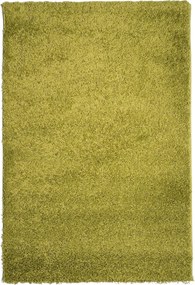 Kusový koberec Efor Shaggy 1903 Green, 60x115, zelená, obývacia izba, Mono Carpet