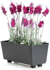 PLASTOVÝ KVĚTINÁČ SALVIA 28,5X17 CM ANTRACITOVÁ