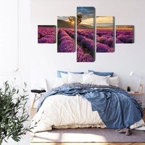 Vícedílný obraz Levandulové Pole Při Západu Slunce 3D Nedostatek Nedostatek Plátno Canvas 250x150