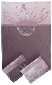 SVITAP sleep well Kuchyňské utěrky Extra savé Echinacea 50x70 cm, 3 ks