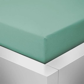 Homeville jersey prostěradlo ELASTIC celadon - 200x220 cm