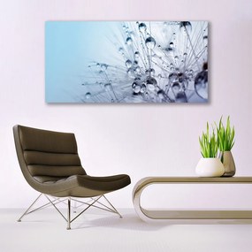 akrylový obraz Pampeliška Rostlina 120x60 cm