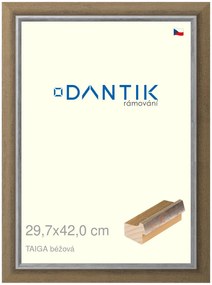 DANTIK rámeček 29,7x42 | TAIGA béžová (Plexi Čiré)