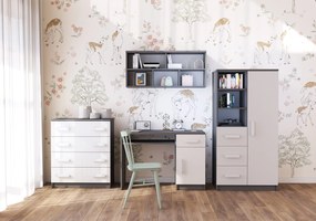 IDZ Knihovna SMYK II 3S1D 05, 80 cm Bílá + Grafit / Barevné úchytky Barva: Dub