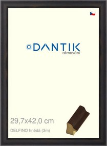 DANTIK rámeček 29,7x42 | DELFINO hnědá (Plexi Čiré)