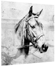 Obraz - portrét koně (50x50 cm)