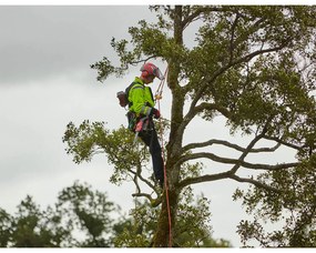Akumulátorová řetězová pila CRAMER 82TCS15 (Dodáváno bez baterie a nabíječky)