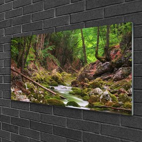 Obraz na skle Les Mech Příroda 125x50 cm