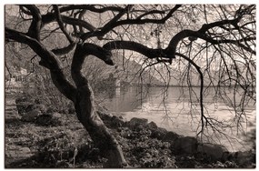 Obraz na plátně - Podzim u jezera 1198QA (60x40 cm)