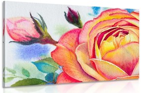 Obraz růže v růžových odstínech - 90x60 cm