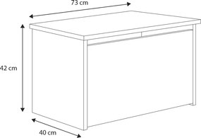 ADRK Furniture Truhla na hračky DARIA