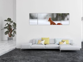 Obraz veverky (170x50 cm)