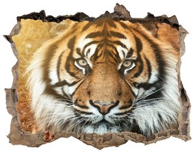 Wallmuralia Díra 3D fototapeta na stěnu Bengálský tygr 95x64 cm