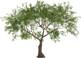 Velkolepý olivovník Olea Tree - 295*295*220 cm