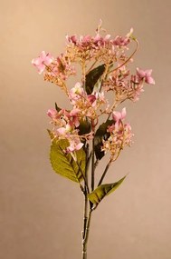 Paramit DRY WILD HYDRANGEA Aranžovací květina růžová 62 cm