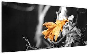 Obraz - přicházející podzim (100x40cm)