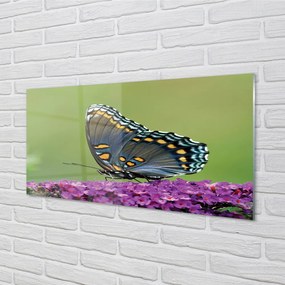 akrylový obraz Barevný motýl na květiny 140x70 cm