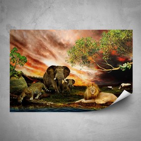 Plakát - Africká zvířata (60x40 cm) - PopyDesign