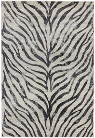 Šedý  koberec Dinamo Zebra Grey Rozměry: 120x170 cm