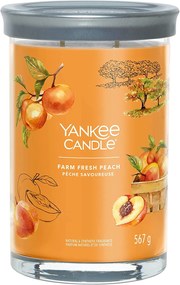 Yankee Candle vonná svíčka Signature Tumbler ve skle velká Farm Fresh Peach 567g