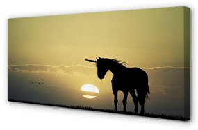 Obrazy na plátně Pole sunset jednorožec 100x50 cm