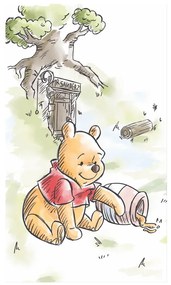 DĚTSKÝ BAVLNĚNÝ RUČNÍK WINNIE THE POOH 30X50 CM VZOROVANÝ