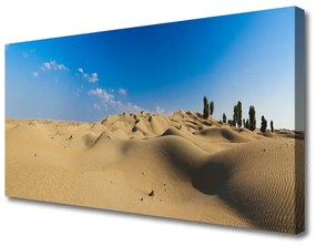 Obraz na plátně Poušť Krajina 125x50 cm